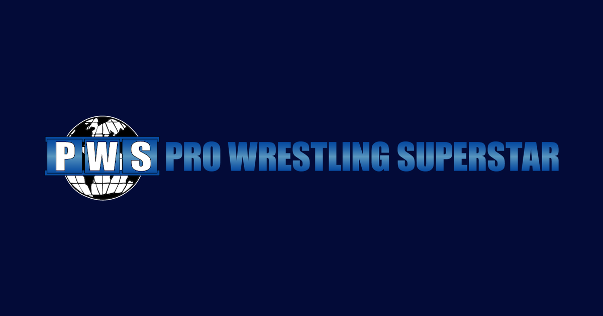Pro Wrestling Superstar Blog - PWS 2.0 Launcher Edition